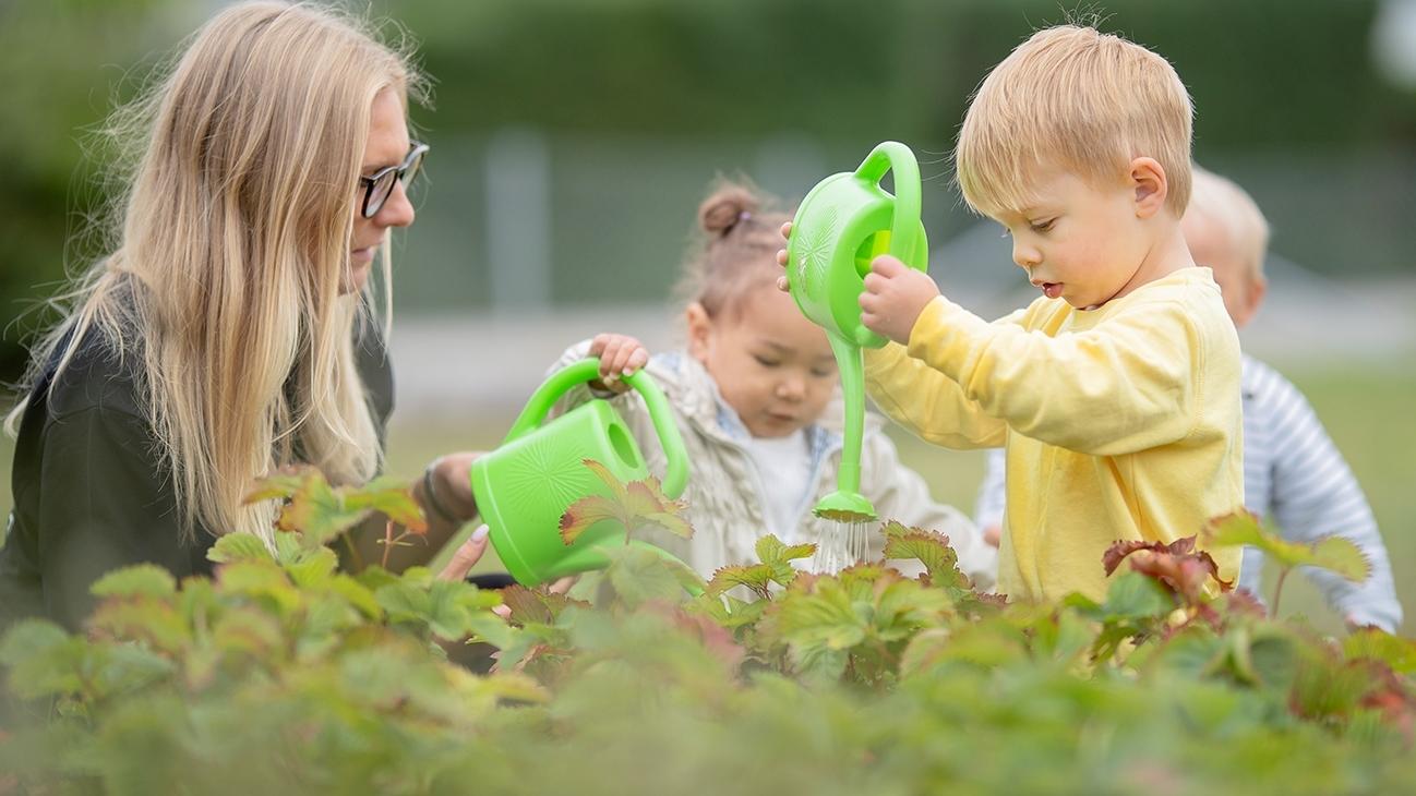 Barnehagemedarbeider, vikariat fra september 2025 til mars 2026, i ...